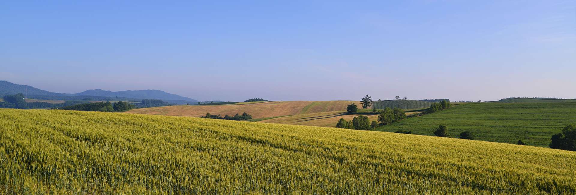 Furano : Flower fields and skiing in Hokkaido - Wonderful Japan