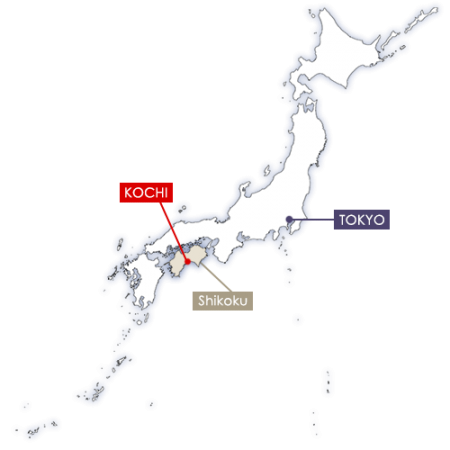 Kochi : The city and its castle in Shikoku - Wonderful Japan