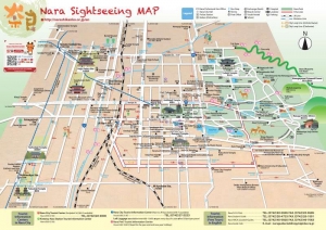 Nara : The historic city surveyed by deer - Wonderful Japan