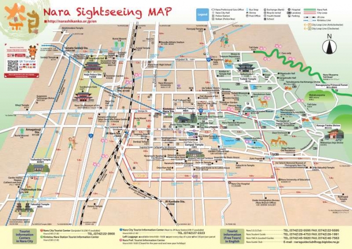 Nara : The historic city surveyed by deer - Wonderful Japan