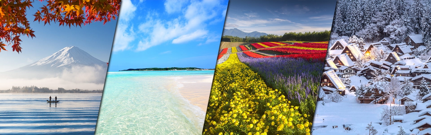 Wonderful Japan - Travel Guide : Discover a beautiful country